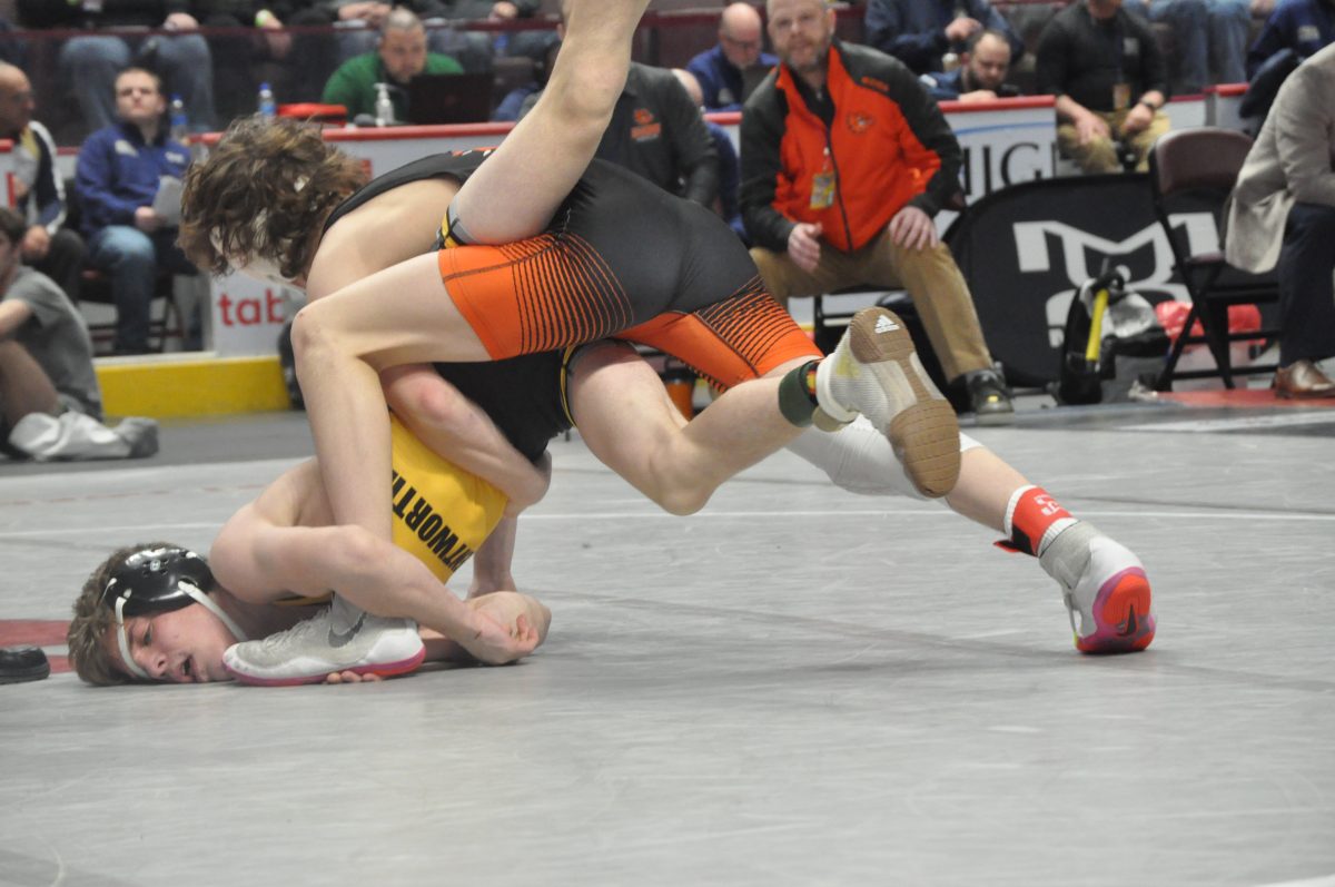 Double trouble: Sentipal, Vargo lose in semis - Observer-Reporter